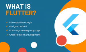 Top 8 Factors for Using Flutter in E-Commerce App Development - HR Tech LLC